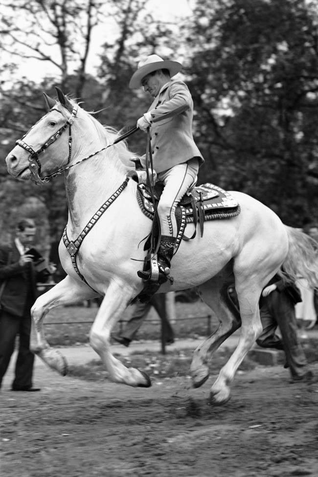 Tom Mix Was Hollywood s Original Cowboy Tough Guy Photo Tom Mix Was Hollywood s Original Cowboy Tough Guy Photo