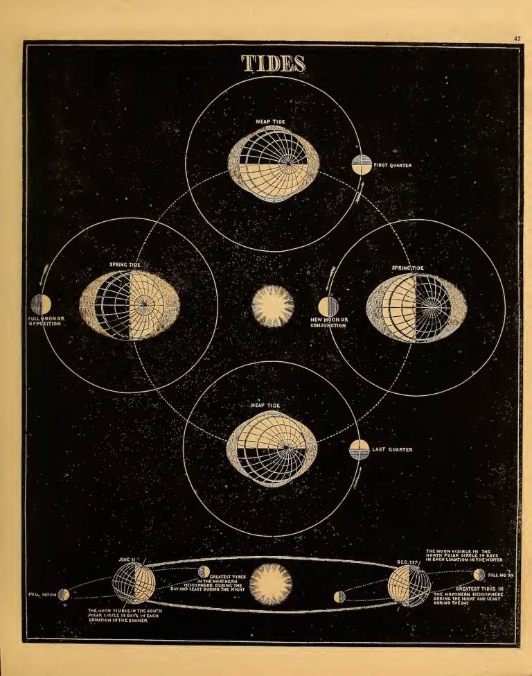 Celestial Illustrations from Smith’s Illustrated Astronomy - 1849-1850 ...