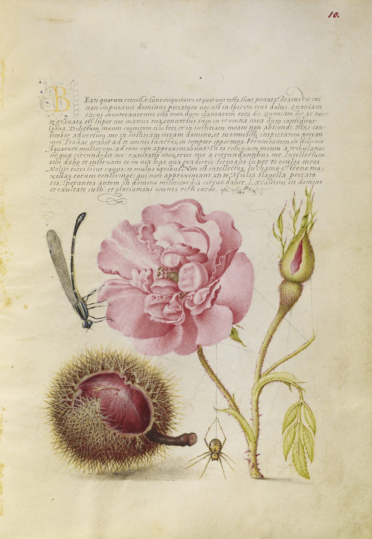 The Model Book of Calligraphy - An Illuminated Masterpiece (1591 - 1596 ...