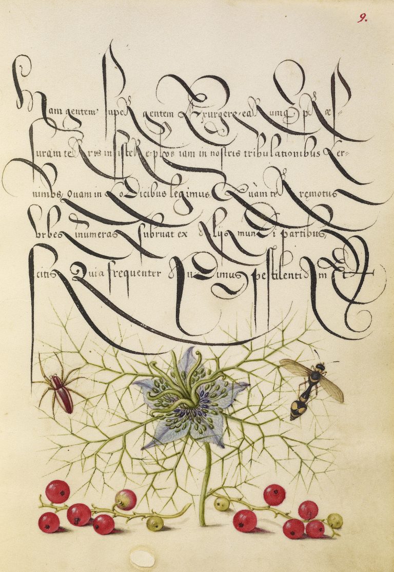 The Model Book of Calligraphy - An Illuminated Masterpiece (1591 - 1596 ...