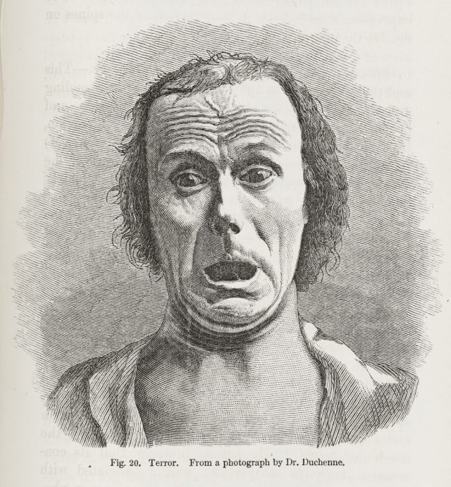 L0049512 Terror, from Darwin's Expression of Emotions in Man.... - Flashbak L0049512 Terror, from Darwin's Expression of Emotions in Man.... - Flashbak