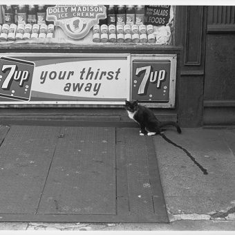 Jonathan Brand, “7up your thirst away,” 1965 - Flashbak