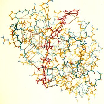 “Crystal structure of lysozyme (1966)” from the Irving Geis Collection ...