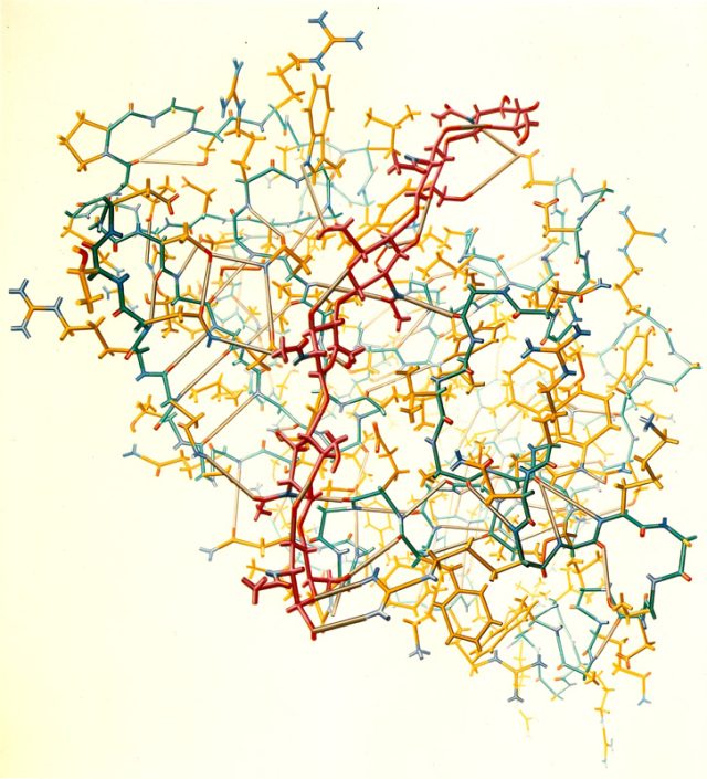 “Crystal structure of lysozyme (1966)” from the Irving Geis Collection ...