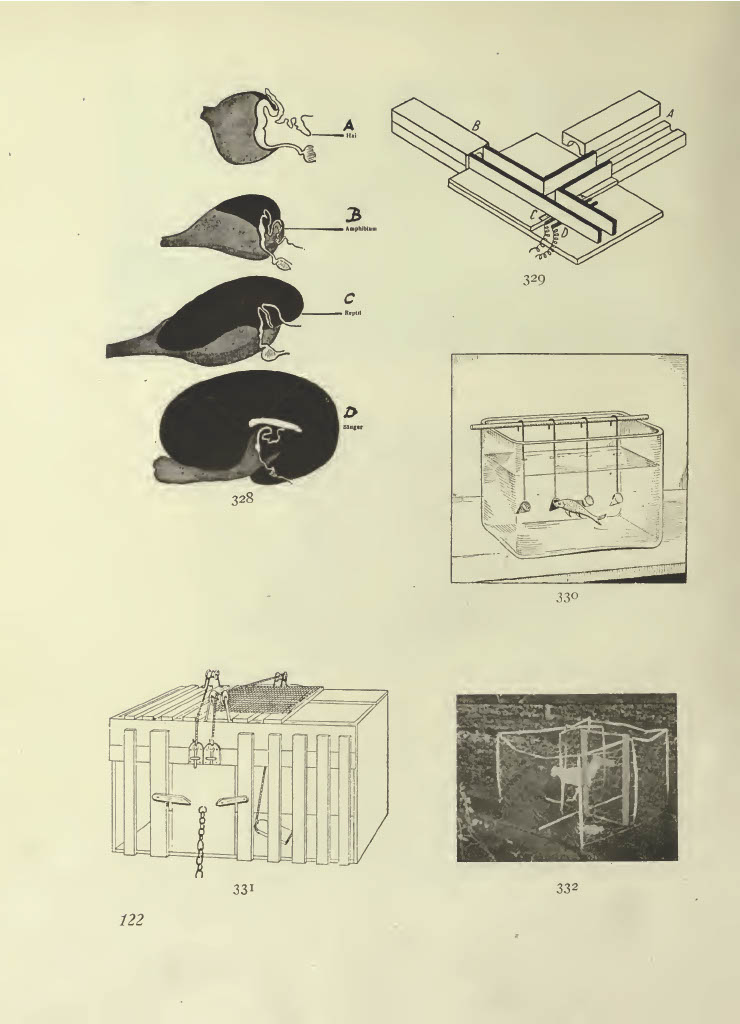 David Katz’s Psychological Atlas 1948-136 - Flashbak