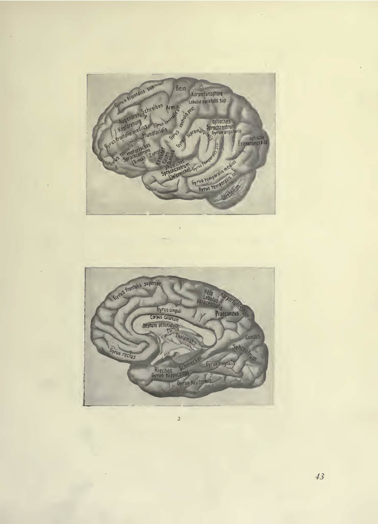 David Katz’s Psychological Atlas 1948-57 - Flashbak