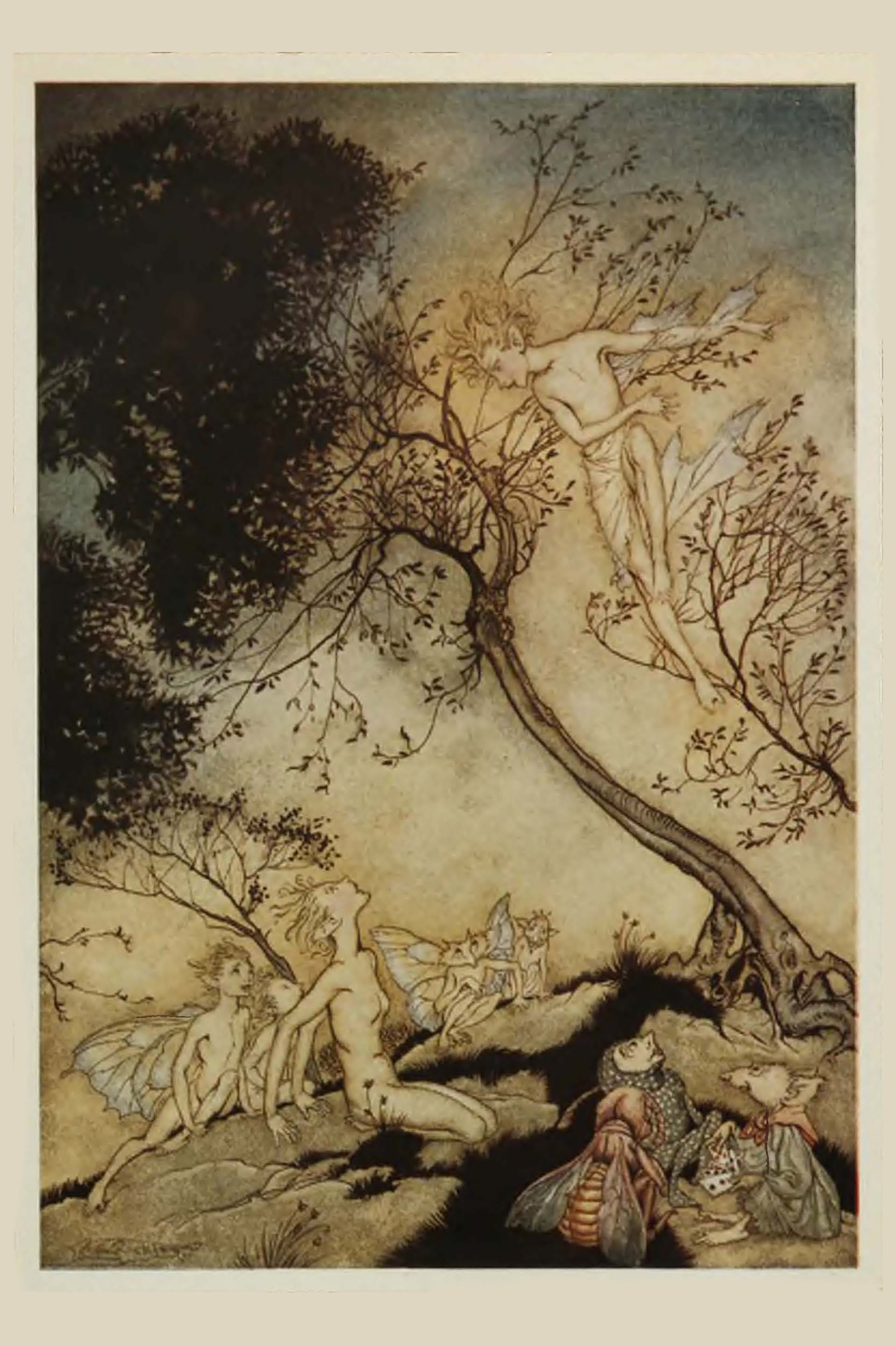 MU_KPB_012_The_Tempest_-_Illustrated_by_Rackham_Page_008_Image_0003 ...