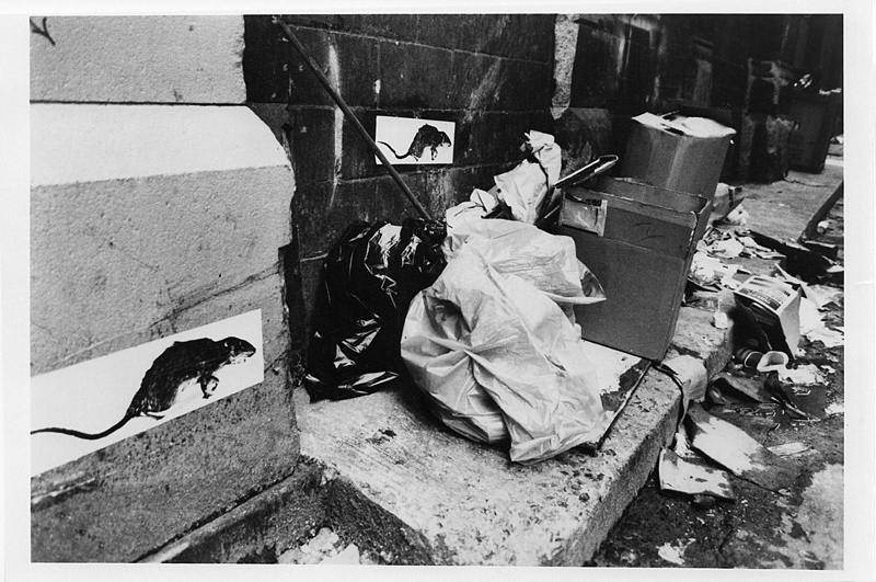 Christy Rupp: Rat Patrol in New York City, 1979 - Flashbak