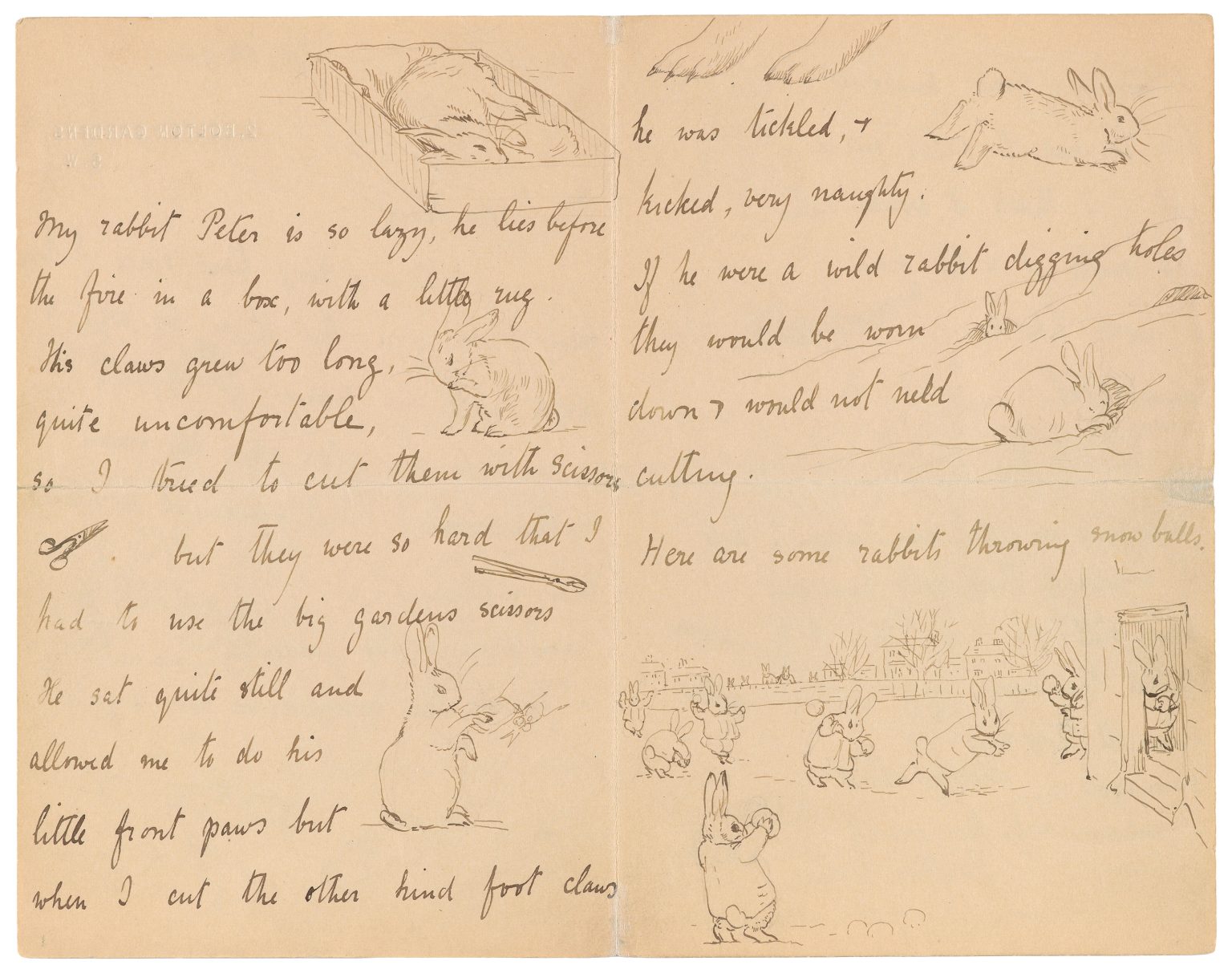 Beatrix Potter's Illustrated Peter Rabbit Letters - Flashbak