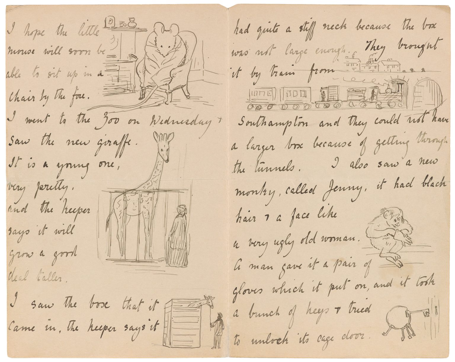 Beatrix Potter's Illustrated Peter Rabbit Letters - Flashbak