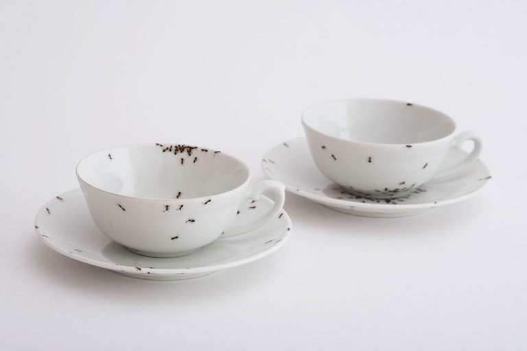 Vintage porcelain 12 hand painted with ants. - Flashbak