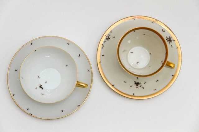 Vintage porcelain 22 hand painted with ants. - Flashbak