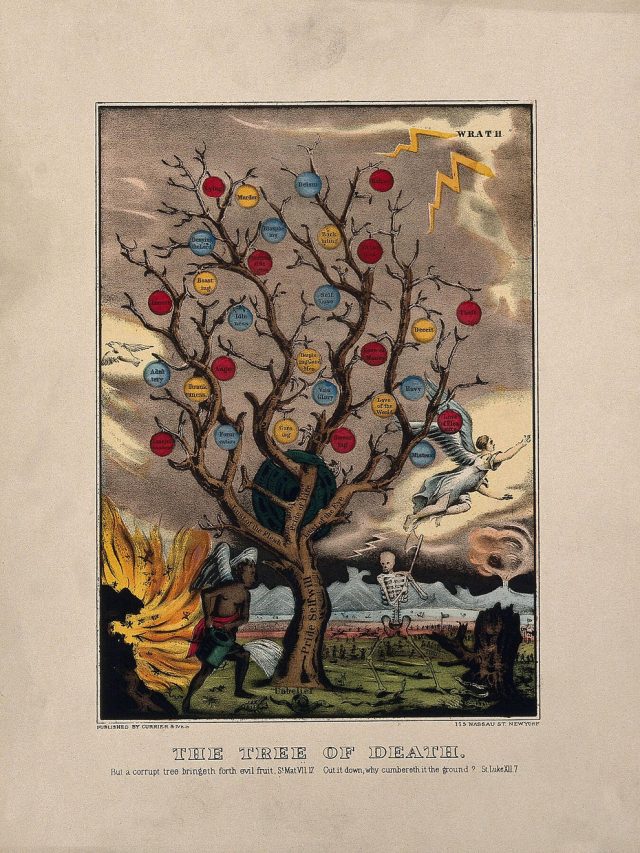 Withered Tree Bearing Apples Labelled with Sins Representing the Life ...
