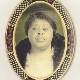 flowers snapshots-20 - Flashbak