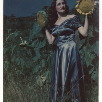 flowers snapshots-22 - Flashbak