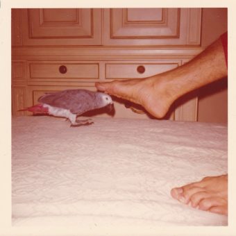 Square Snapshots1 - Flashbak