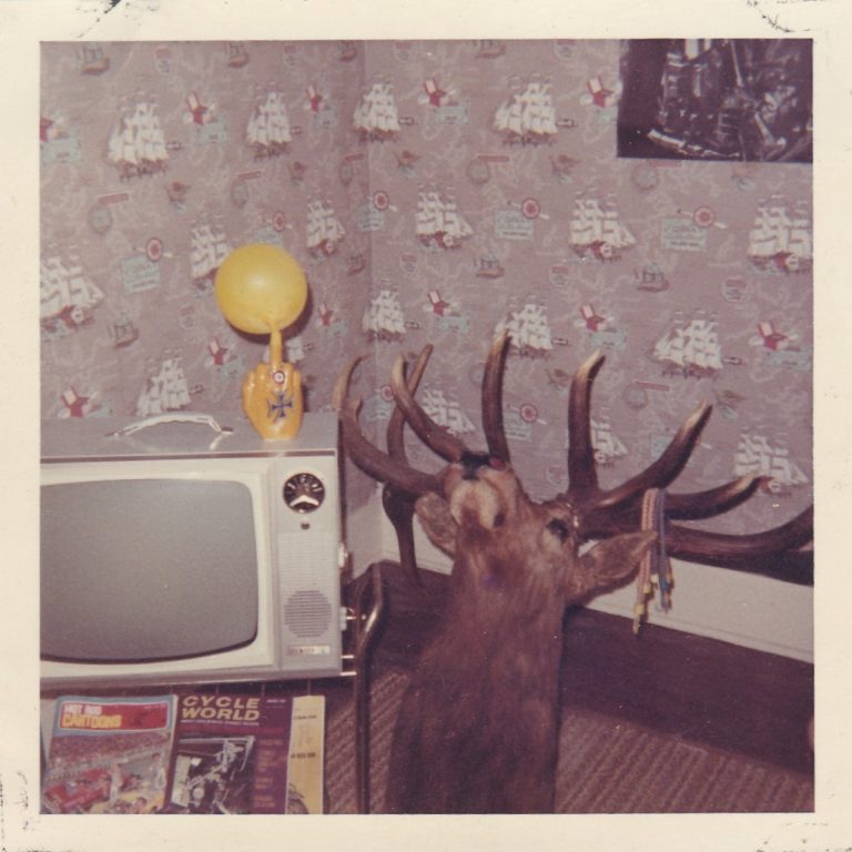 Living Color: Strange Square Snapshots - Flashbak