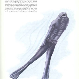dougal-dixon-man-after-man-an-anthropology-of-the-future-1990-18 ...