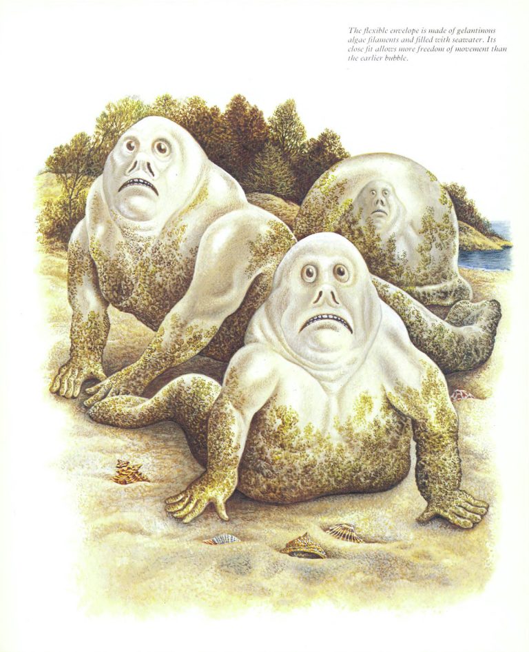 Rewilding Humanity - Dougal Dixon's Man After Man : An Anthropology of ...