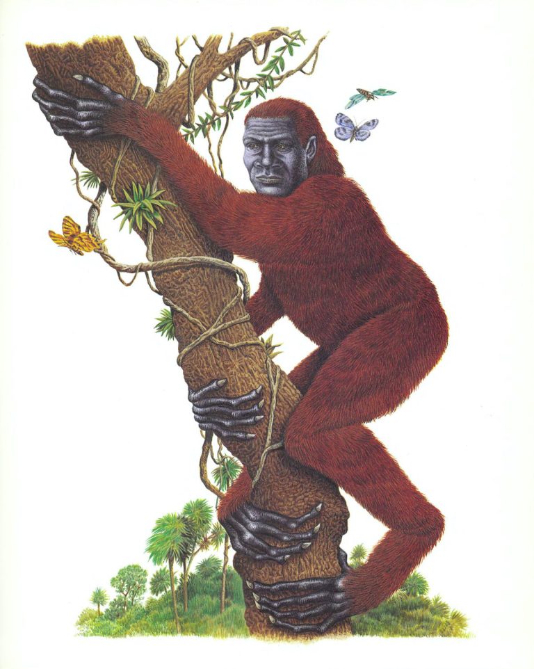 Rewilding Humanity - Dougal Dixon's Man After Man : An Anthropology of the Future (1990) - Flashbak