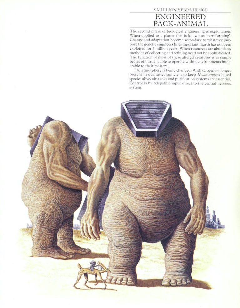 Rewilding Humanity - Dougal Dixon's Man After Man : An Anthropology of ...