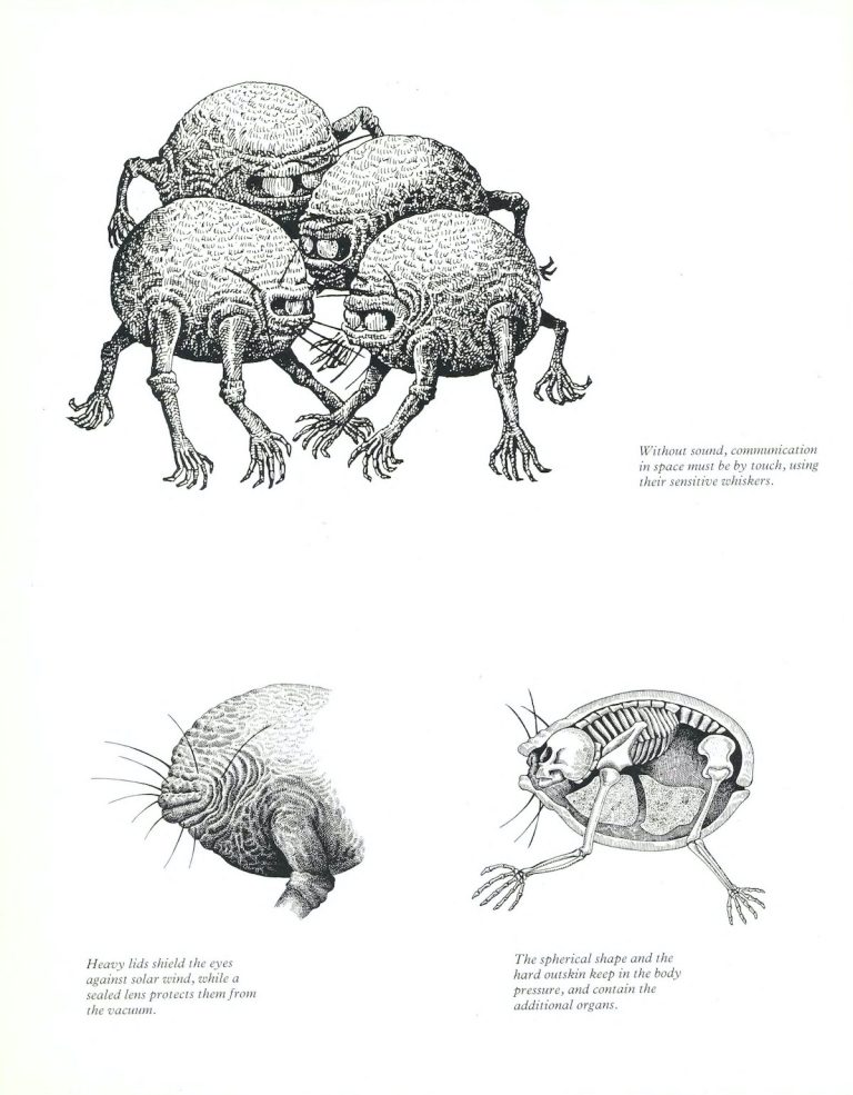 Rewilding Humanity - Dougal Dixon's Man After Man : An Anthropology of ...