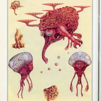 dougal-dixon-visions-of-man-evolved-article-illustration-2-omni ...