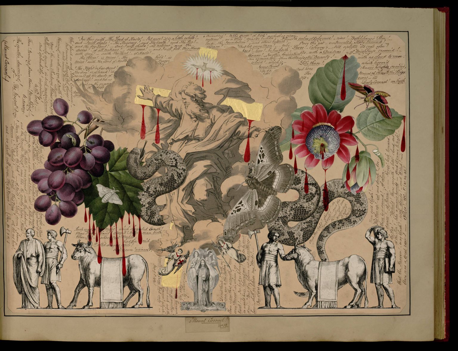 All 41 Plates From Evelyn Waugh's Victorian Blood Book, Durenstein ...