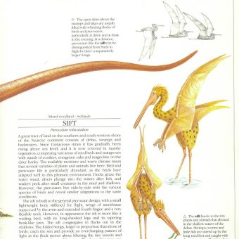 the-new-dinosaurs-dougal-dixon-1988_page_0063_5233186494_o - Flashbak