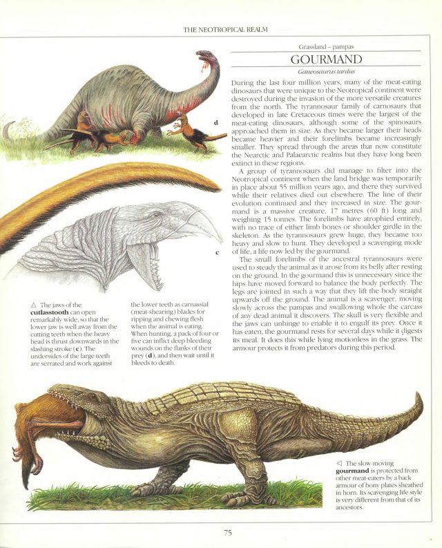 the-new-dinosaurs-dougal-dixon-1988_page_0075_5233189762_o - Flashbak
