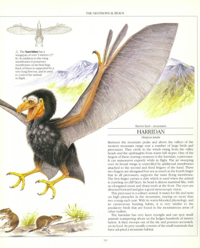 the-new-dinosaurs-dougal-dixon-1988_page_0077_5232598813_o - Flashbak