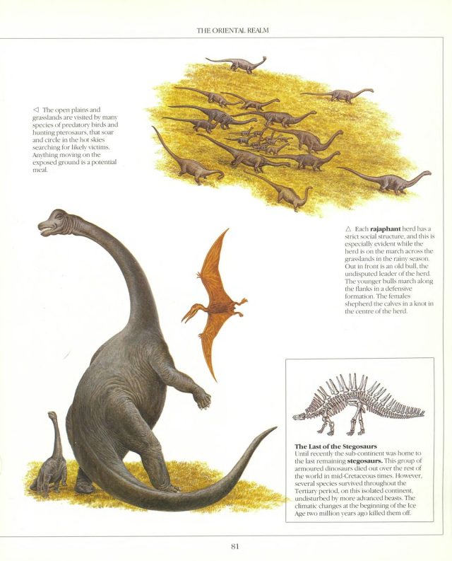 the-new-dinosaurs-dougal-dixon-1988_page_0081_5233190864_o - Flashbak