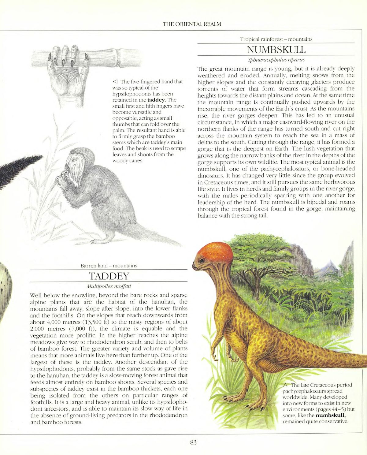 the-new-dinosaurs-dougal-dixon-1988_page_0083_5232600053_o - Flashbak