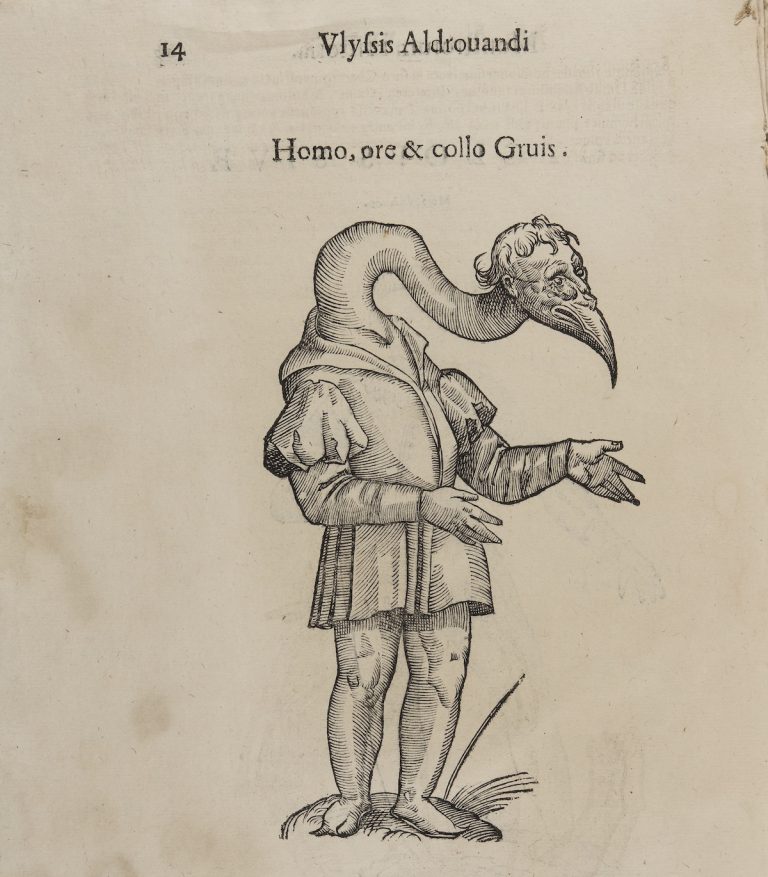 Ulissi Aldrovandi's Monstrorum Historia: Dragons And Other Real ...