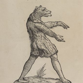 Ulissi Aldrovandi Monstrorum Historia - Flashbak