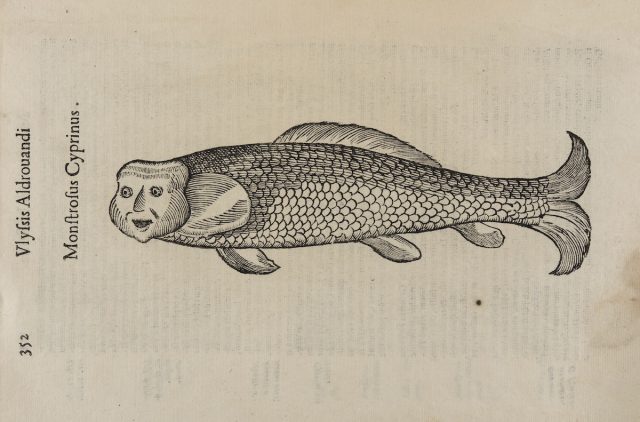 Ulissi Aldrovandi's Monstrorum Historia: Dragons And Other Real ...
