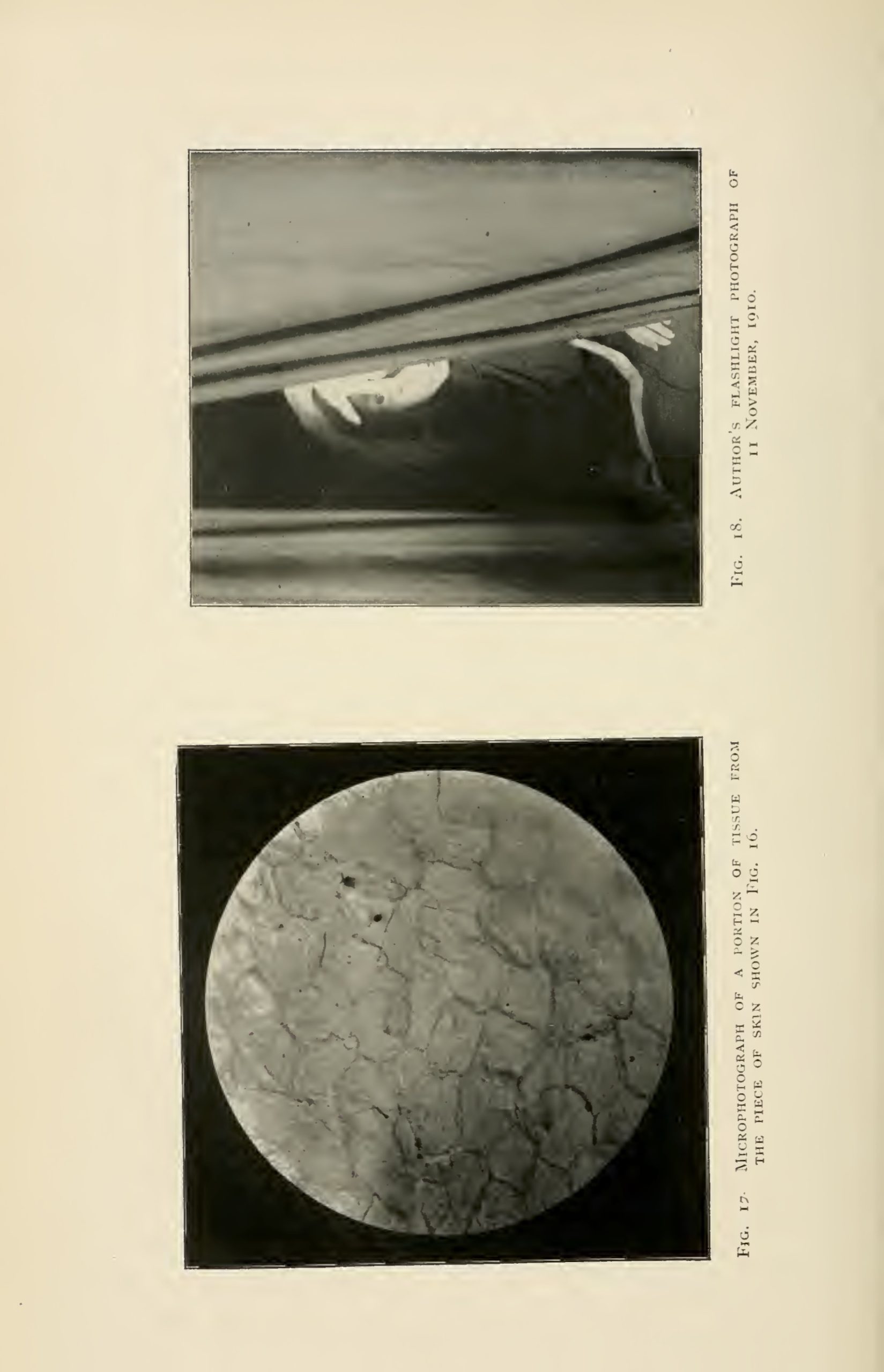 phenomenaofmaterialisation 8 - Flashbak