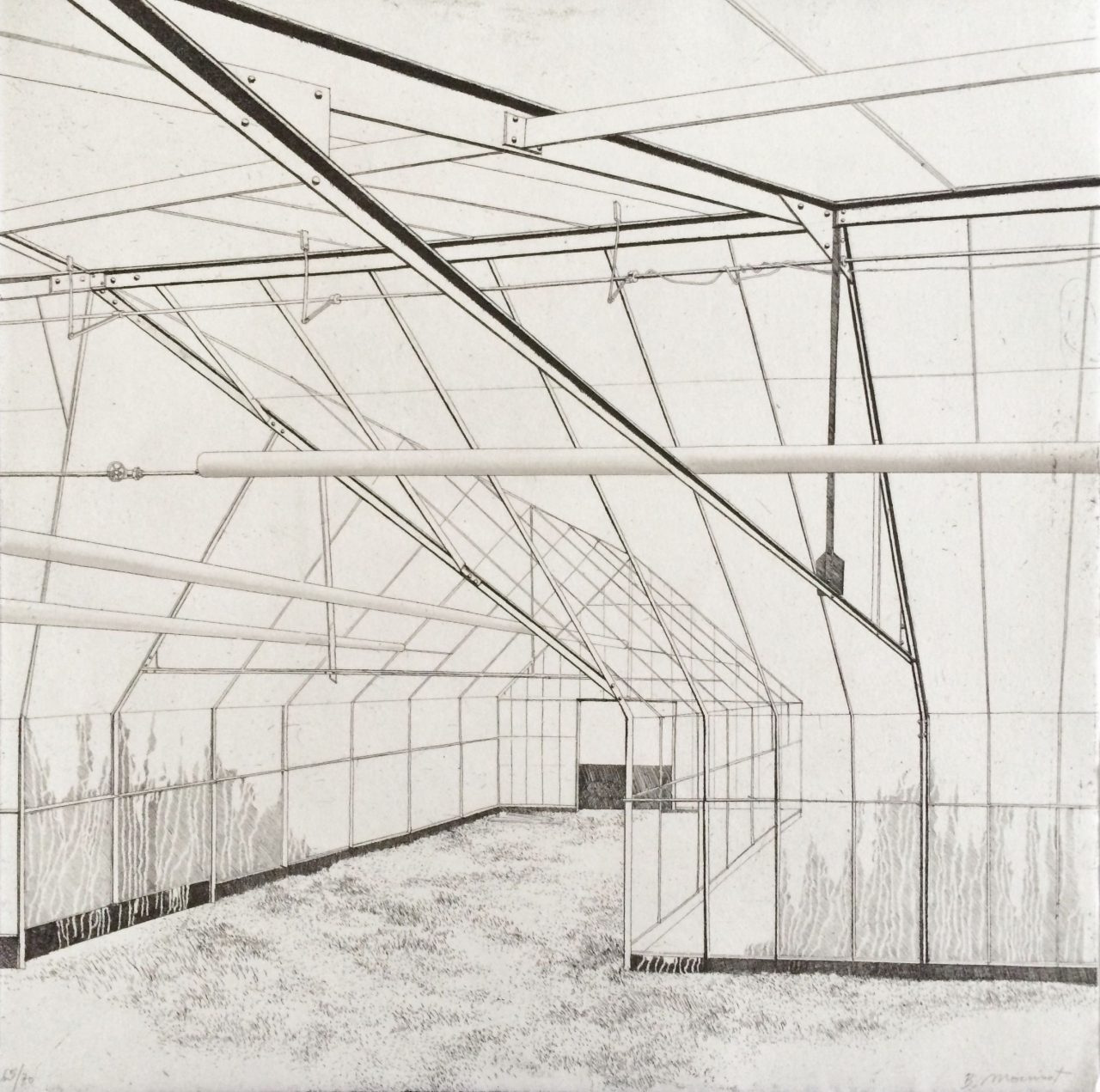 Bernard moninot-serre-Greenhouse 12 - Flashbak