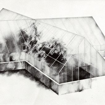 Bernard moninot-serre-Greenhouse 7 - Flashbak