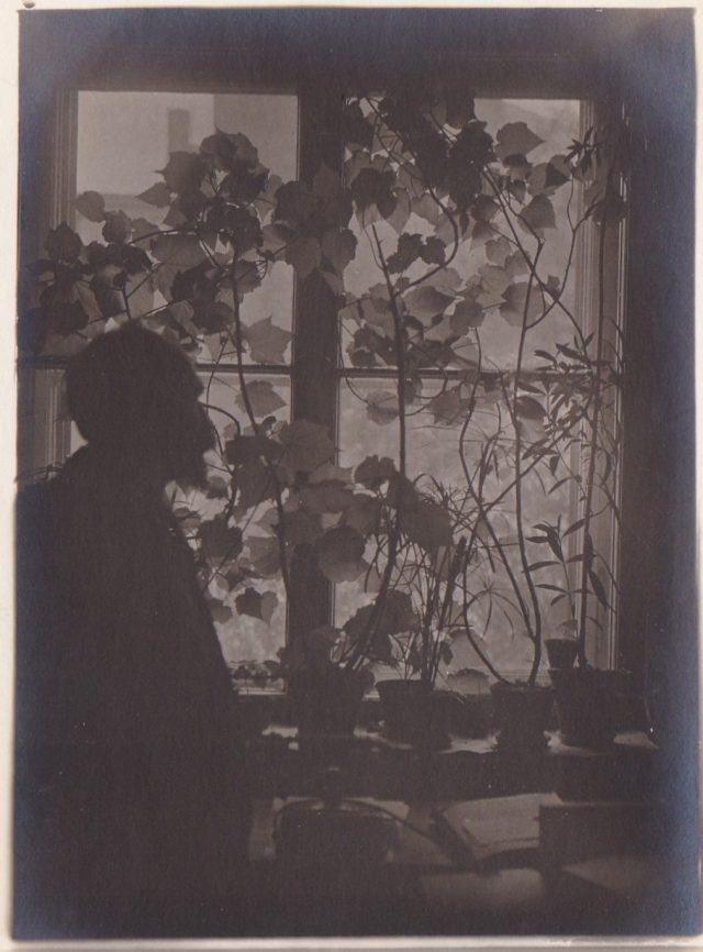 new : leavesIMG_20250924_0015 - Flashbak