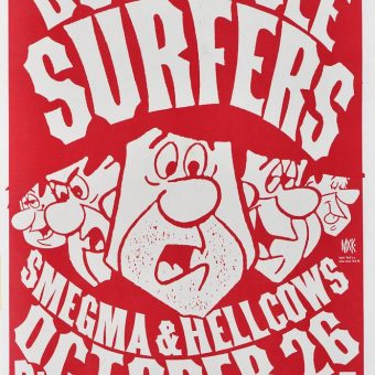 buthole surfers - Flashbak