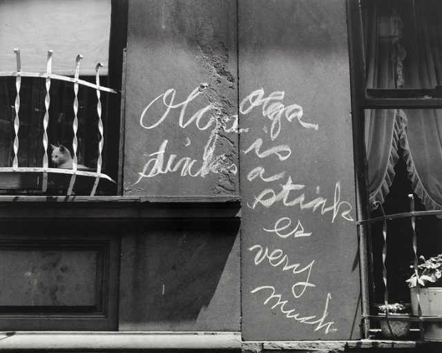 olga stinks - Flashbak