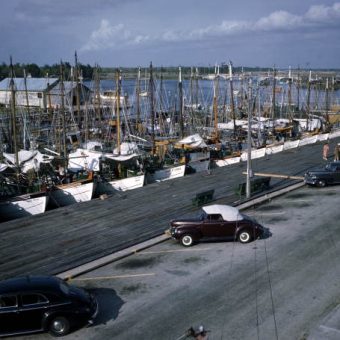 sponge-fleet-at-st-nicholas-dock-for-epiphany-services-tarpon-springs ...