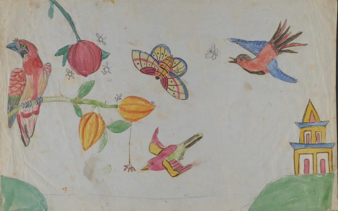 Charles Darwin Drawings and Doodles - Flashbak