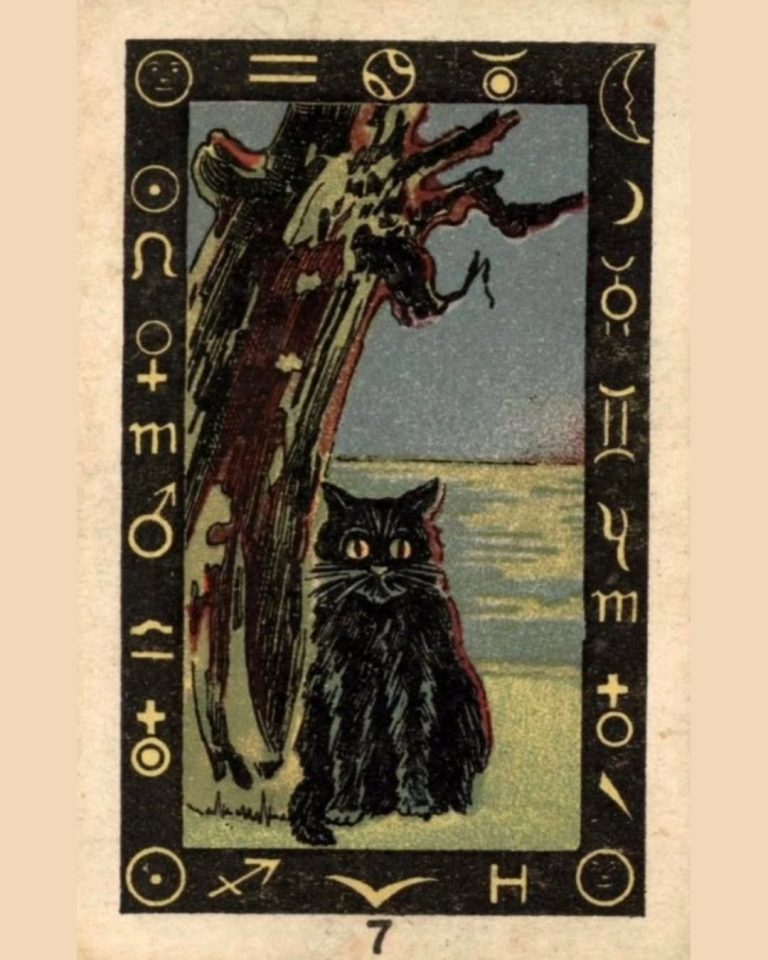 The Sybil Marie Anne Lenormand And Her Divination Deck - Flashbak