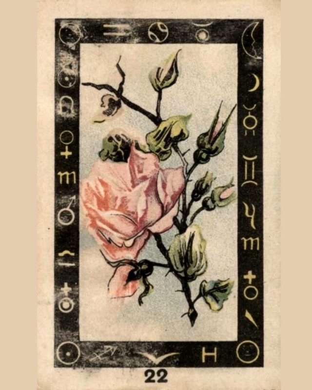 The Sybil Marie Anne Lenormand And Her Divination Deck - Flashbak